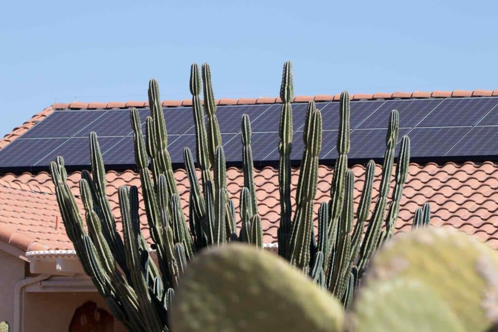 Types of Solar Farms for Investment - Your Comprehensive Guide - Shasta ...