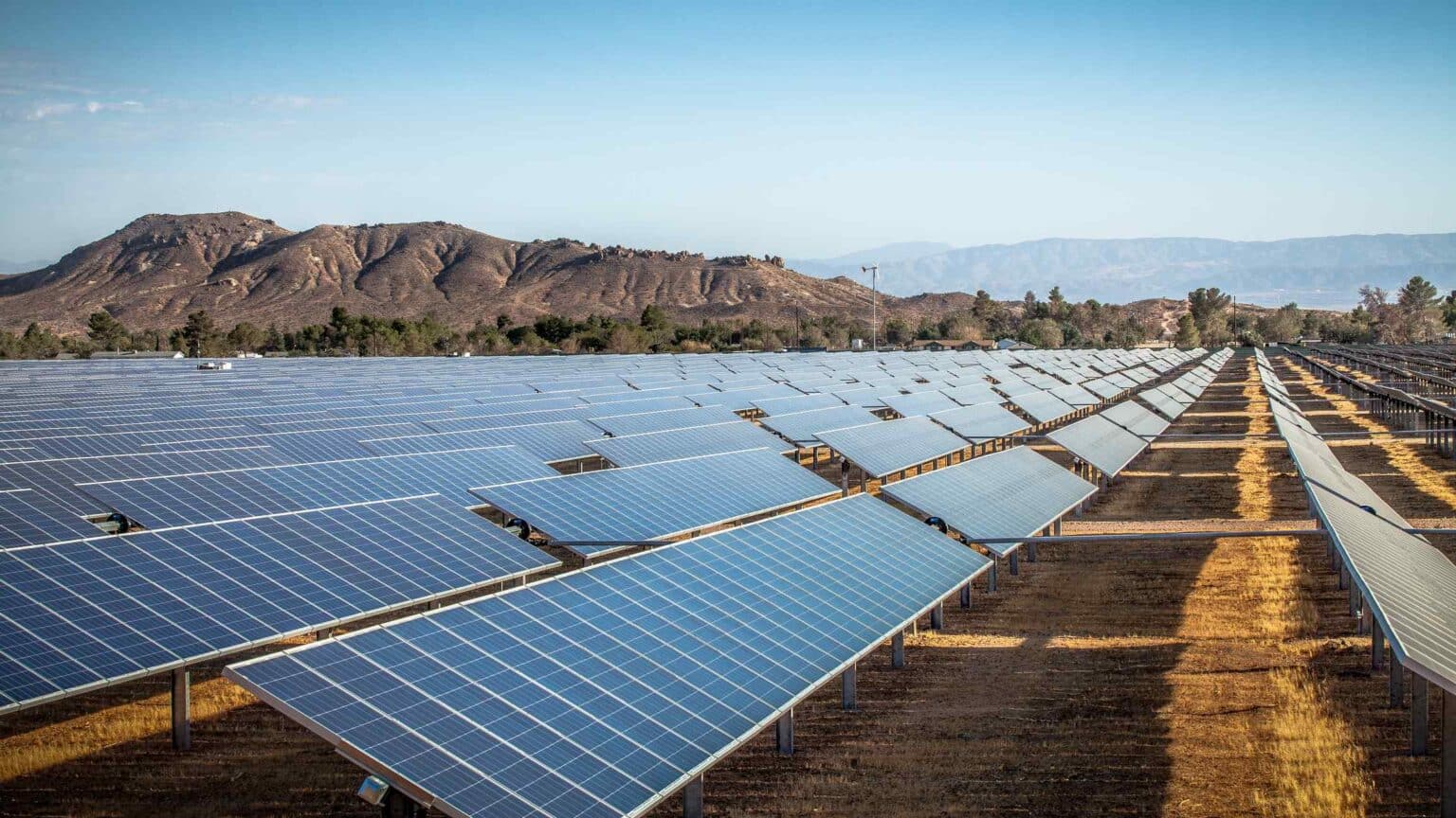 Understanding How Solar Farms Generate Profit: A Simple Guide