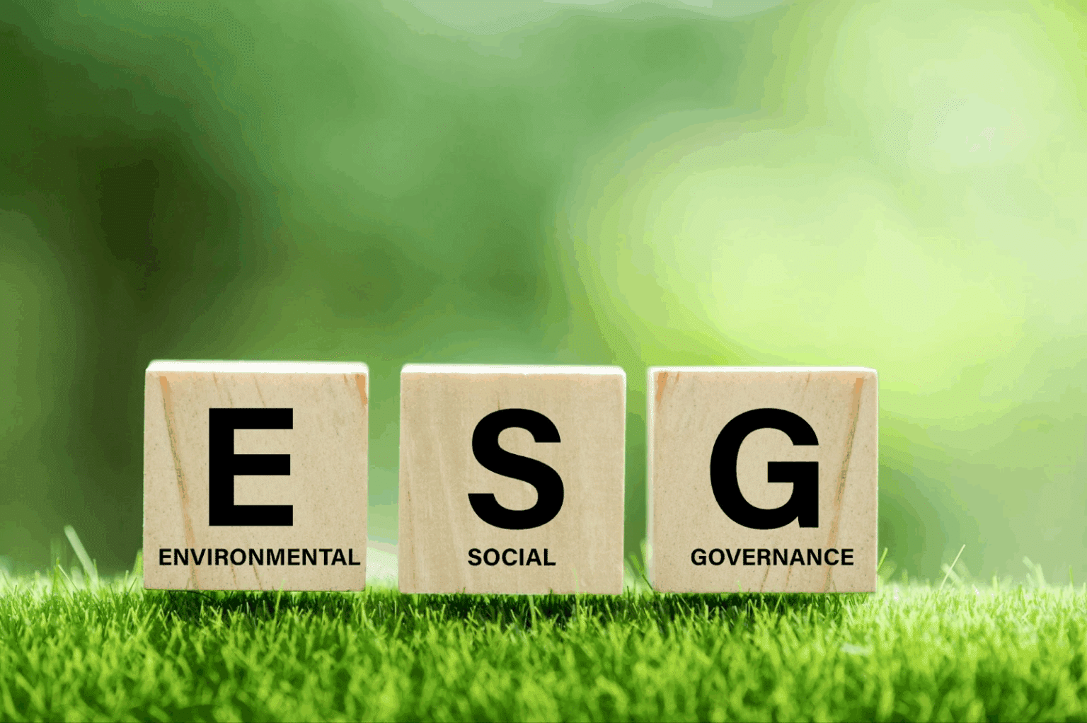 Top 5 Myths About ESG Investing, Debunked | Education